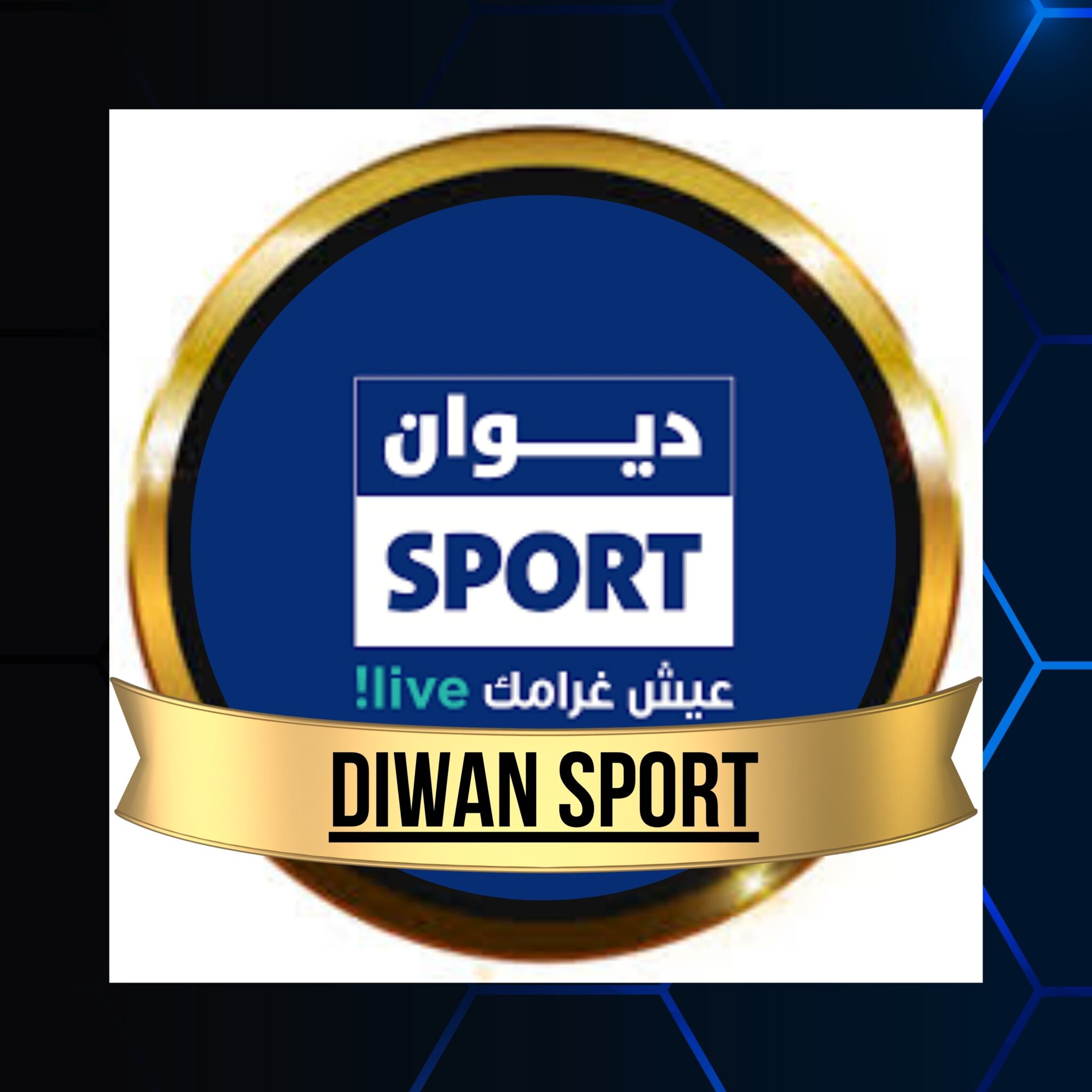 AVATAR PRO IPTV + DIWAN SPORT 12 MOIS - Tele shop